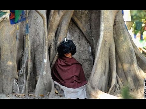 Nepal, Ram Bahadur Bomjon il 'Buddha boy' indagato pers...pri e o ...