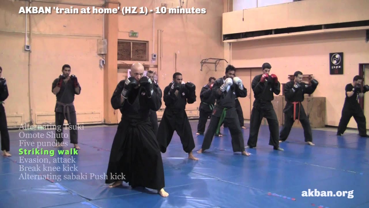 How to do Ninjutsu striking - sabaki basic combos - AKBAN Ninjutsu training - YouTube