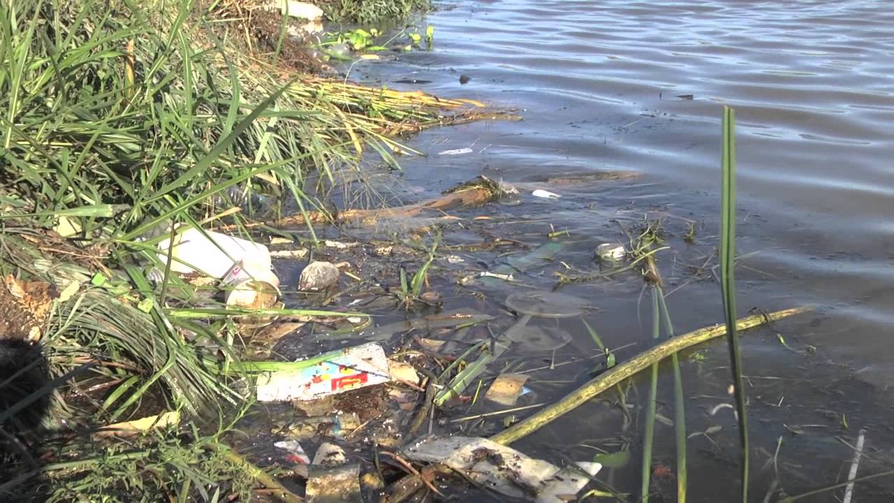 Trinity River Trash Bash 2013 - YouTube