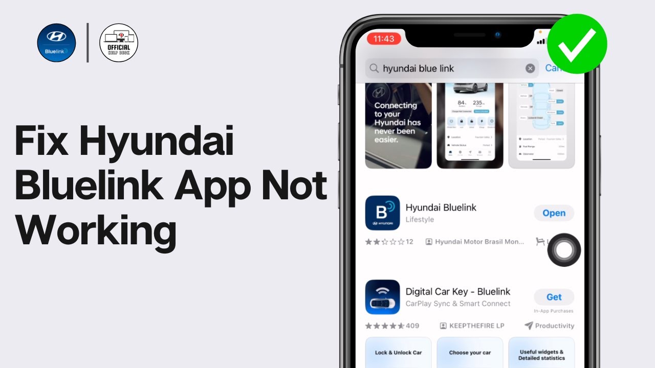 Bluelink App Not Working
