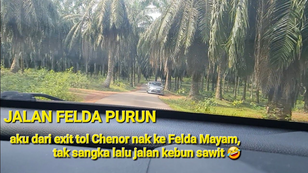 #PERJALANAN 6 - JALAN FELDA PURUN ; JALAN TERPALING SAWIT 😘🤣 - YouTube