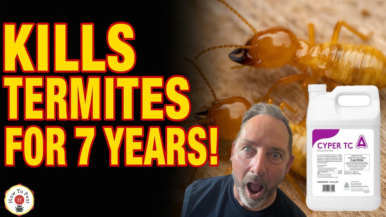 Cyper TC Termiticide Tutorial | Kills Termites for 7 Years (DIY Pest ...