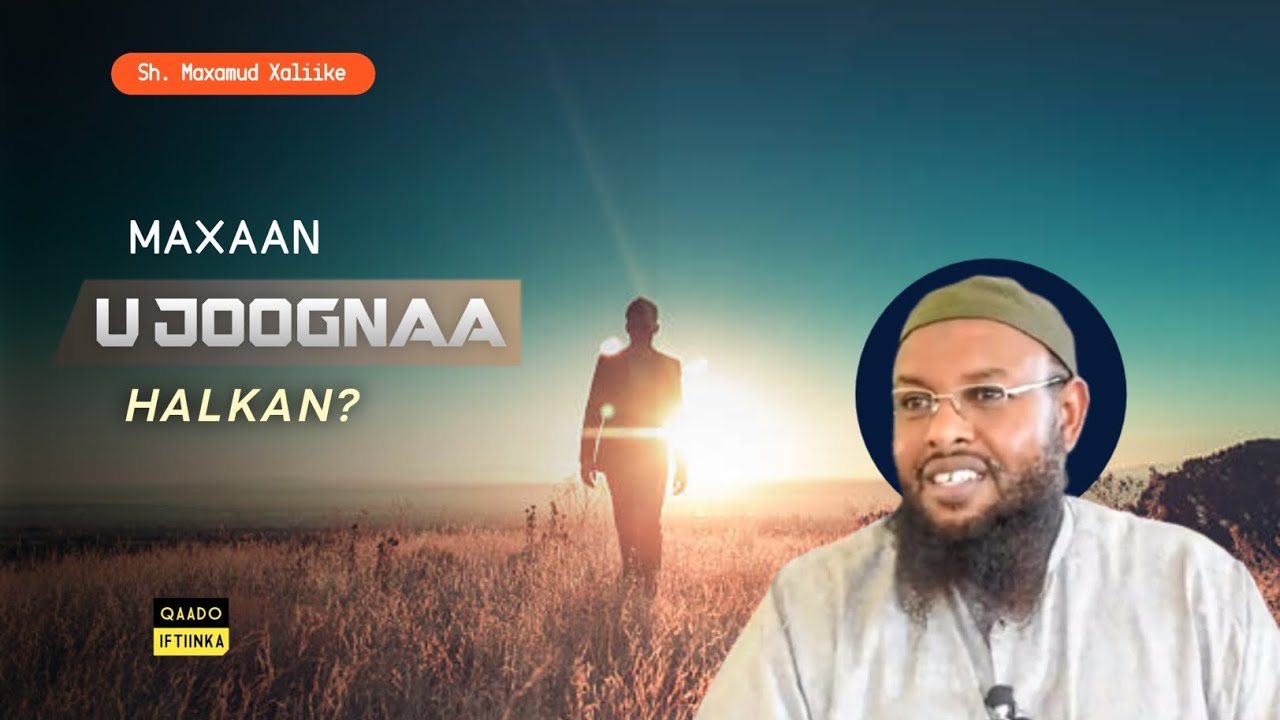 IS WAYDII SU'AALAHAN | Sh. Maxamud Xaliike - YouTube