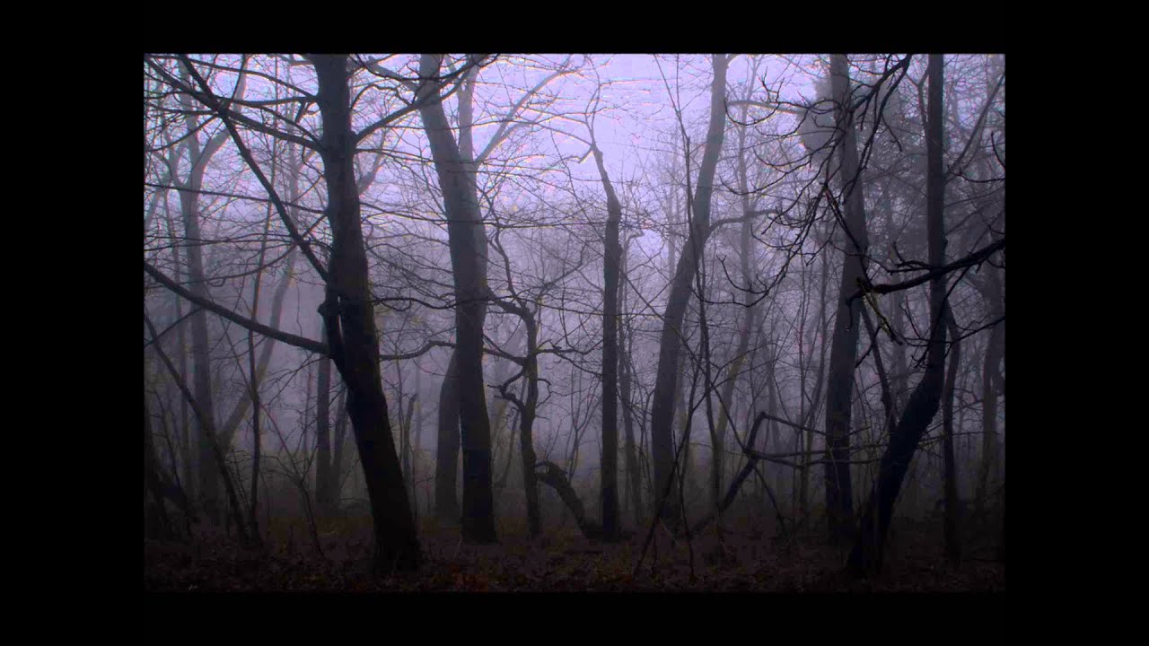 Dark Creepy Ambient Music #13 - Crooked Creatures On The Hunt - YouTube