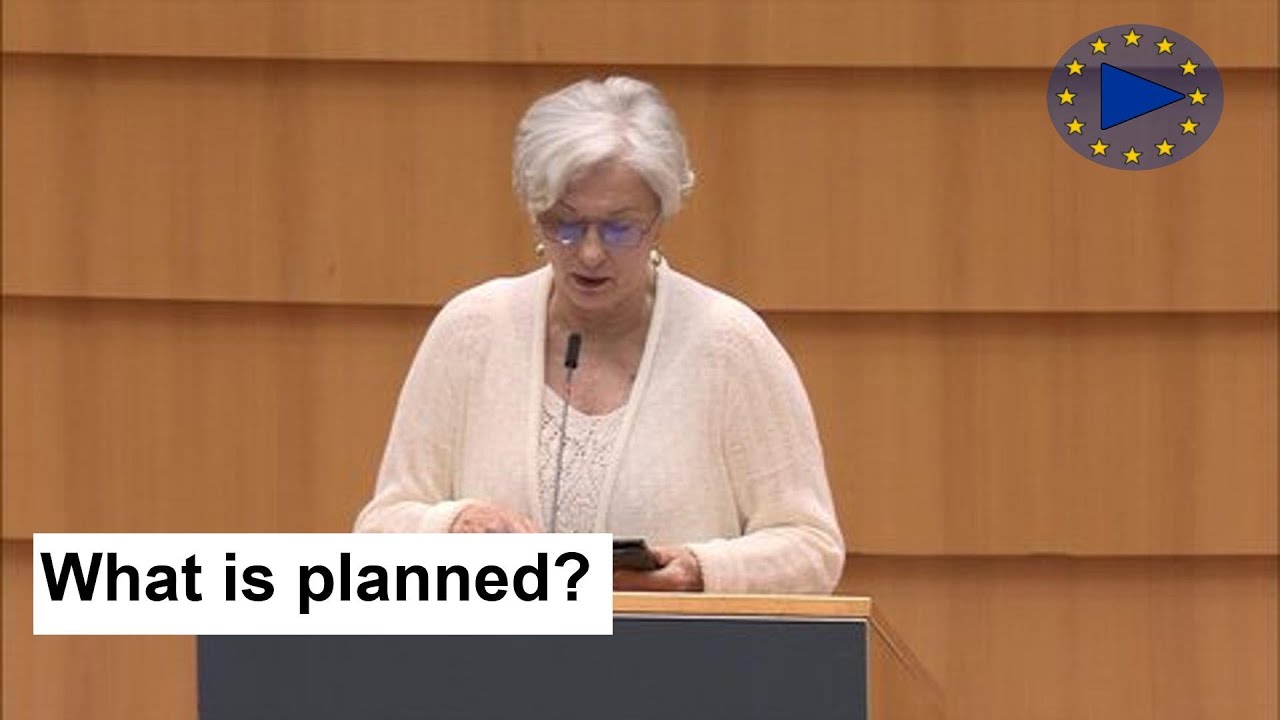 Meps Fight Foreign Interference In Eu Elections Special Committee