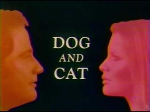 Classic TV Theme: Dog and Cat (Kim Basinger) - YouTube