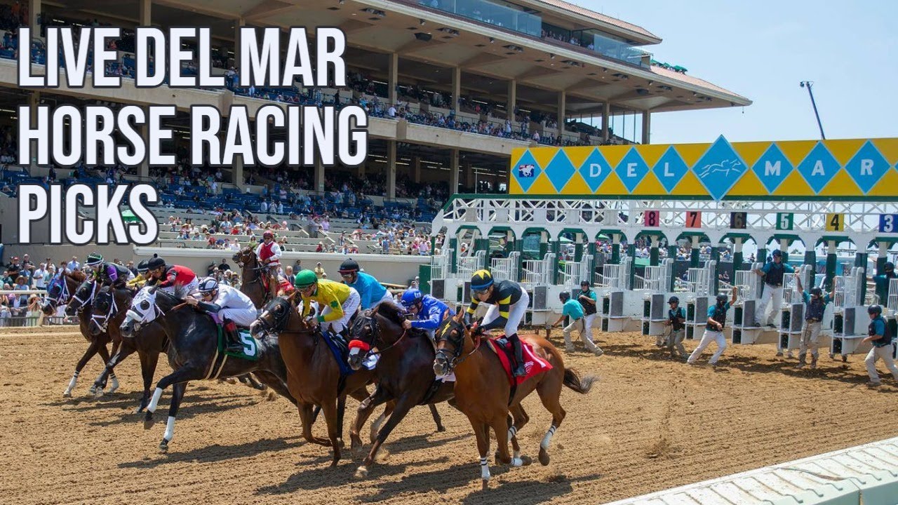 Live Del Mar Horse Racing Picks - YouTube