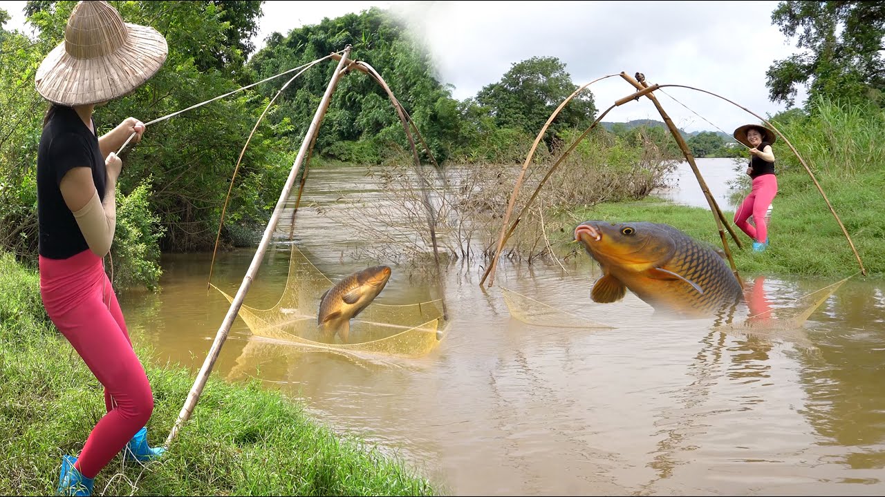 Amazing Fishing | Traditional Fishing Technique Using Bamboo and ...