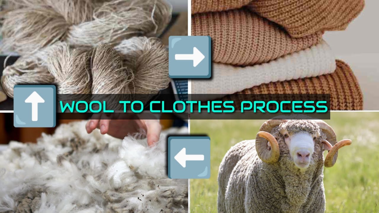 How woolen clothes are made by sheep wool - YouTube