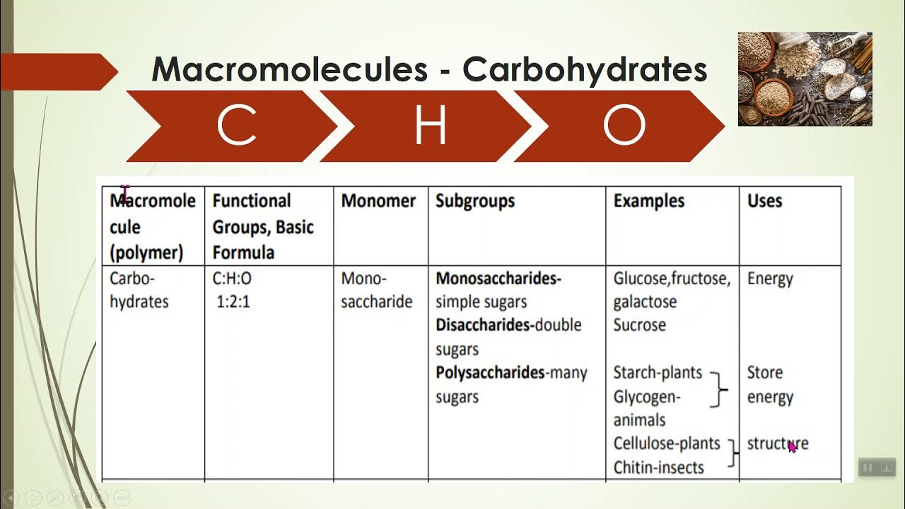 EOC Review Lesson 2 - YouTube