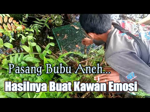 Uji coba Bubu aneh.. Hasilnya Bikin Kaget..!!