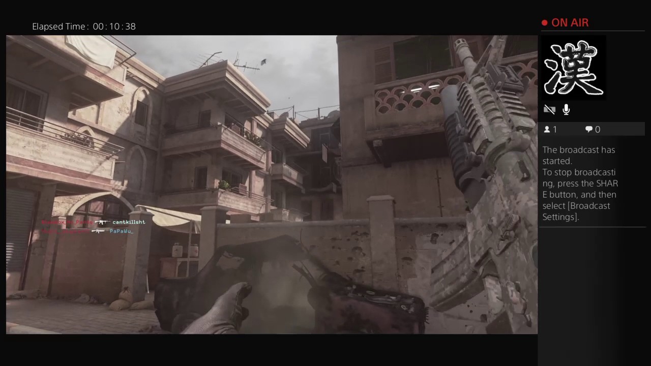 Kittens Call of Duty Modern Warfare Remastered! - YouTube