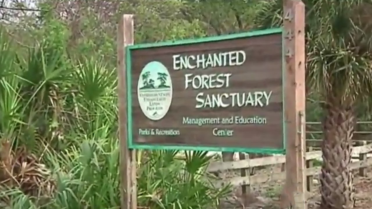 UCF Biology Professor Ross Hinkle Interview - YouTube