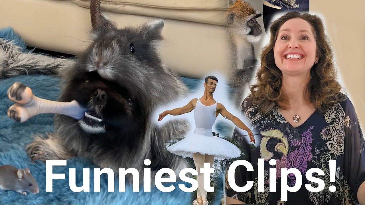 Funniest Clips from the latest OSFirstTimer video! - YouTube