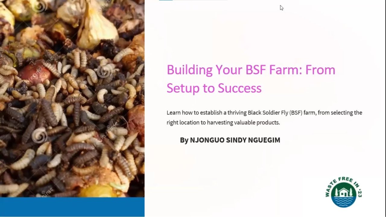 Week 3 of WF23 Webinar | Building Your BSFL Farm - From Setup to ...