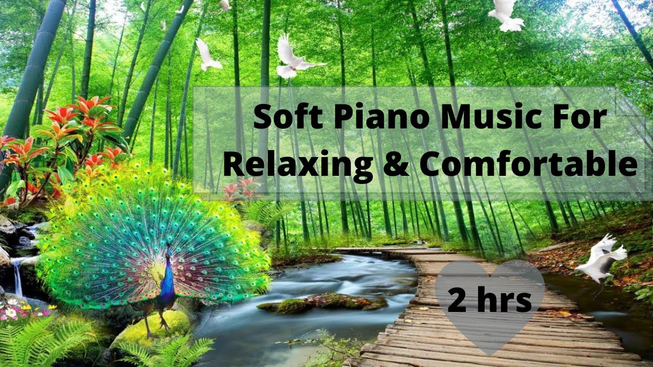 Relax Music Soft Piano Music for Relaxing & Comfortable. How to calm ...