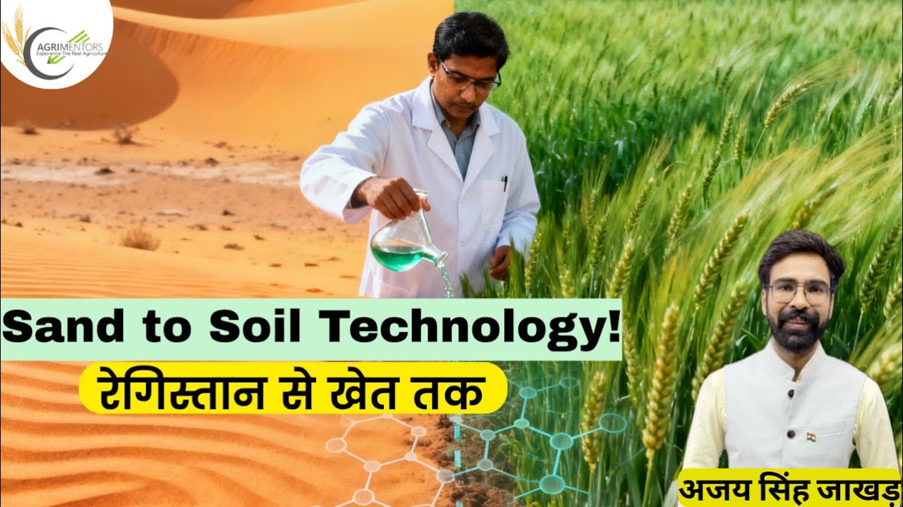India’s New Desert Farming Breakthrough | Turning Sand into Soil to ...