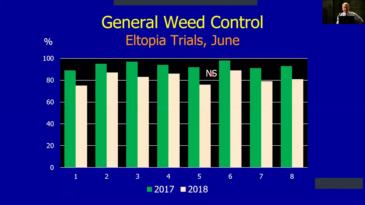 Tim Miller - Herbicide Programs to Control Weeds in Blueberries - YouTube
