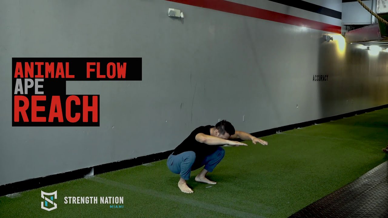 Animal Flow Ape Reach - YouTube
