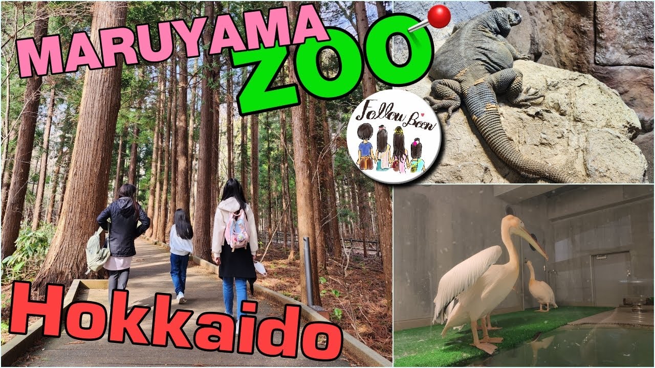Maruyama Zoo @Sapporo เที่ยวสวนสันตว์ ซัปโปโร เดือนเมษายน - YouTube