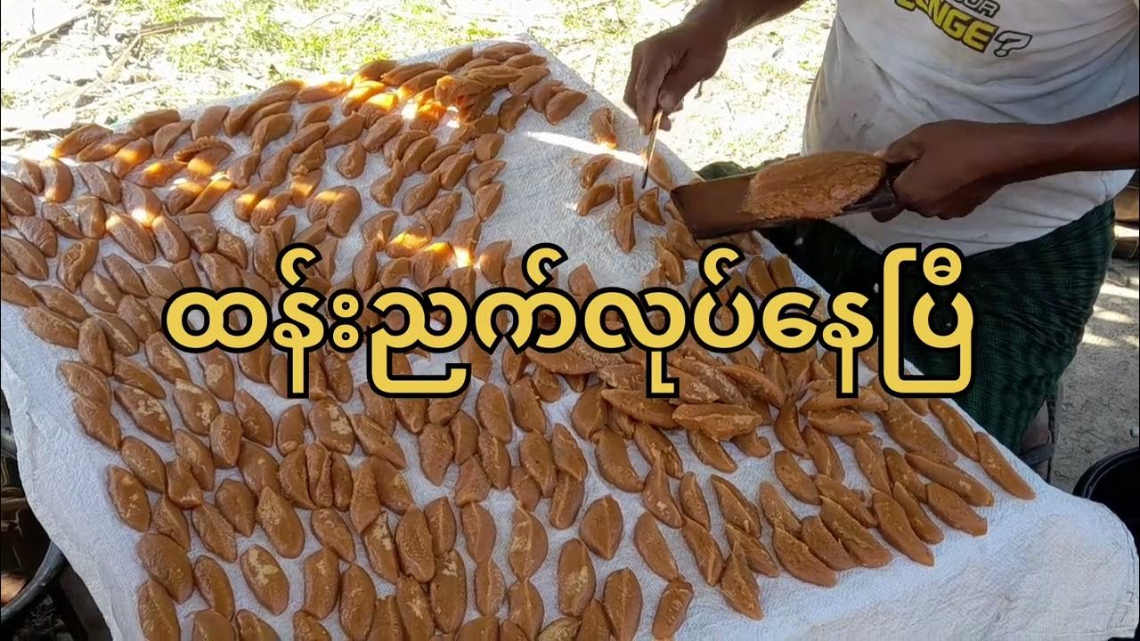 ထန်းညက်လုပ်ယူခြင်း Youtube
