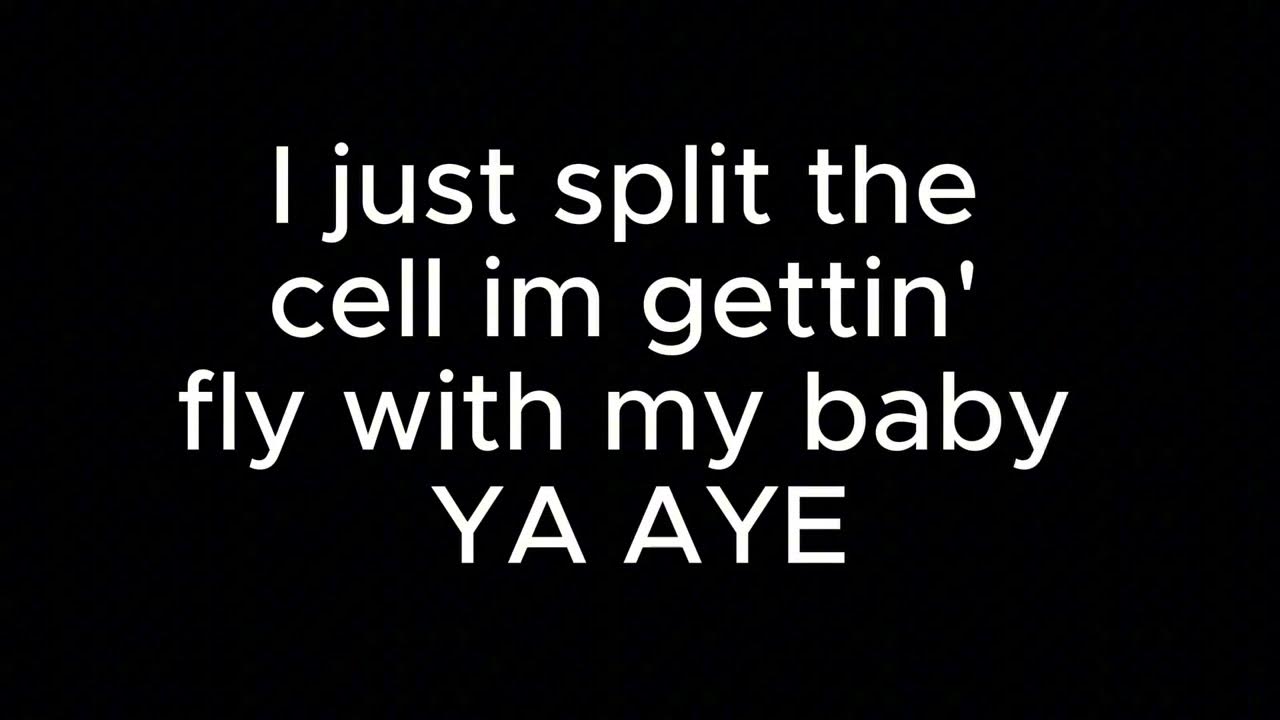 mitosis rap - YouTube