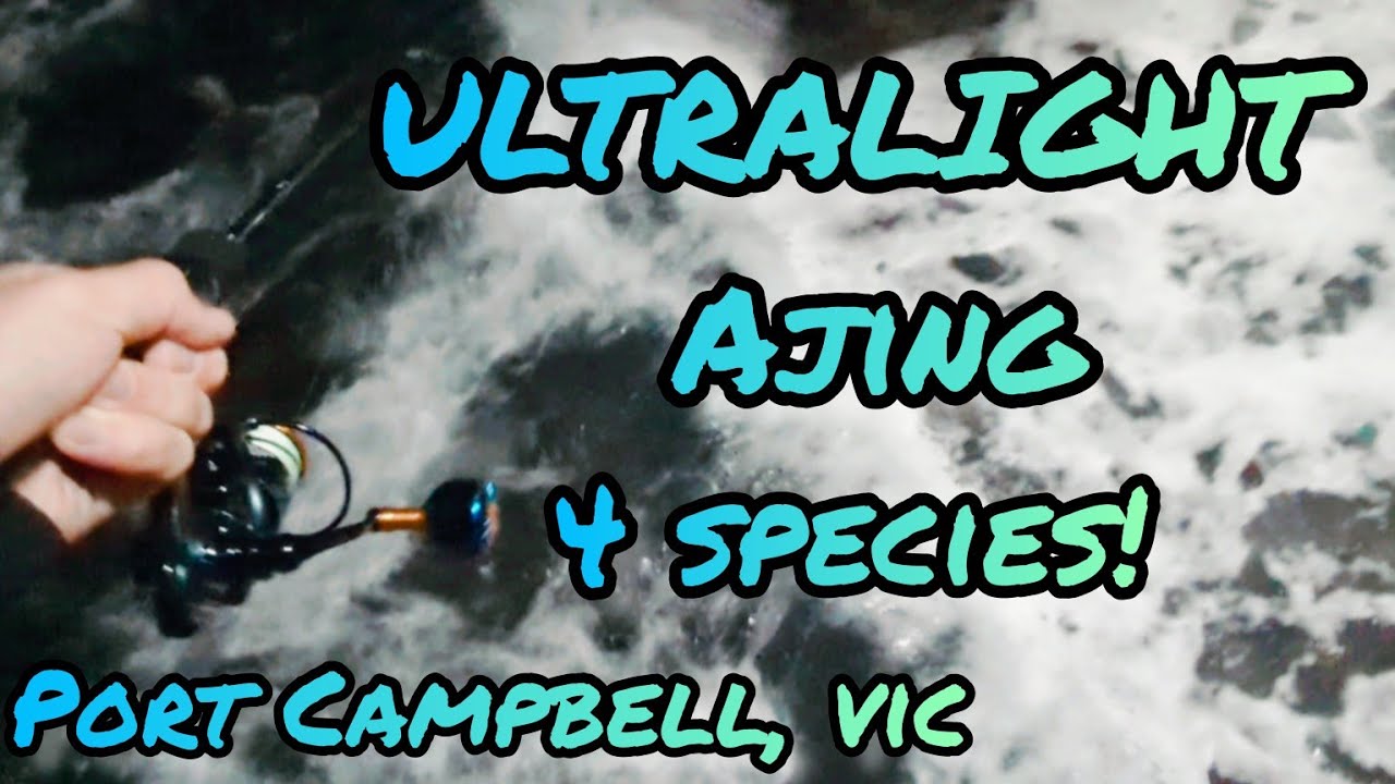 Night Aji Fishing at Port Campbell - 4 Species! - YouTube