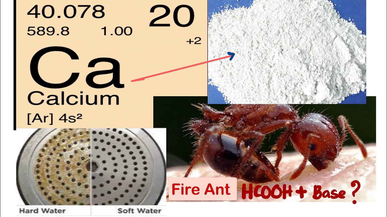 #langchantrea || Calcium Compounds-Inorganic Chemistry ...