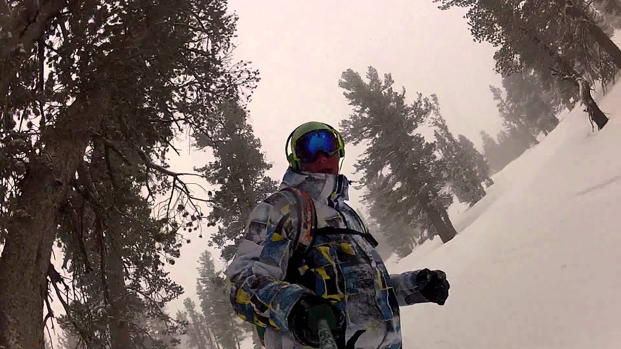 running into a tree - YouTube