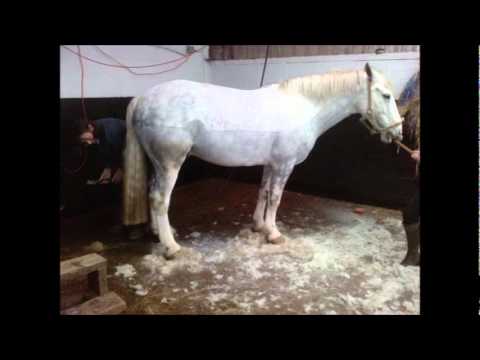 SOMERBY EQUESTRIAN CENTRE!!!!! - YouTube