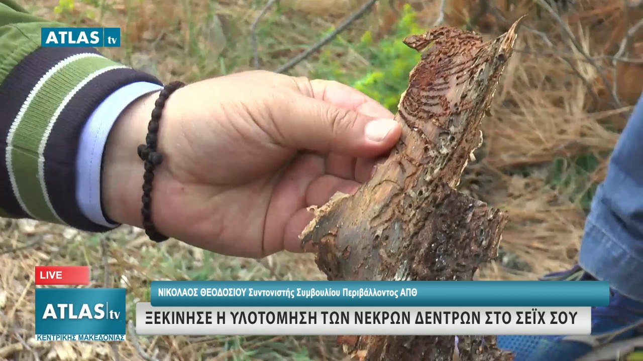 ΔΑΡΔΑΒΕΣΗΣ - ΑΝΗΣΥΧΙΑ ΓΙΑ ΤΗ ΔΙΕΞΑΓΩΓΗ ΤΩΝ ΕΚΛΟΓΩΝ - YouTube
