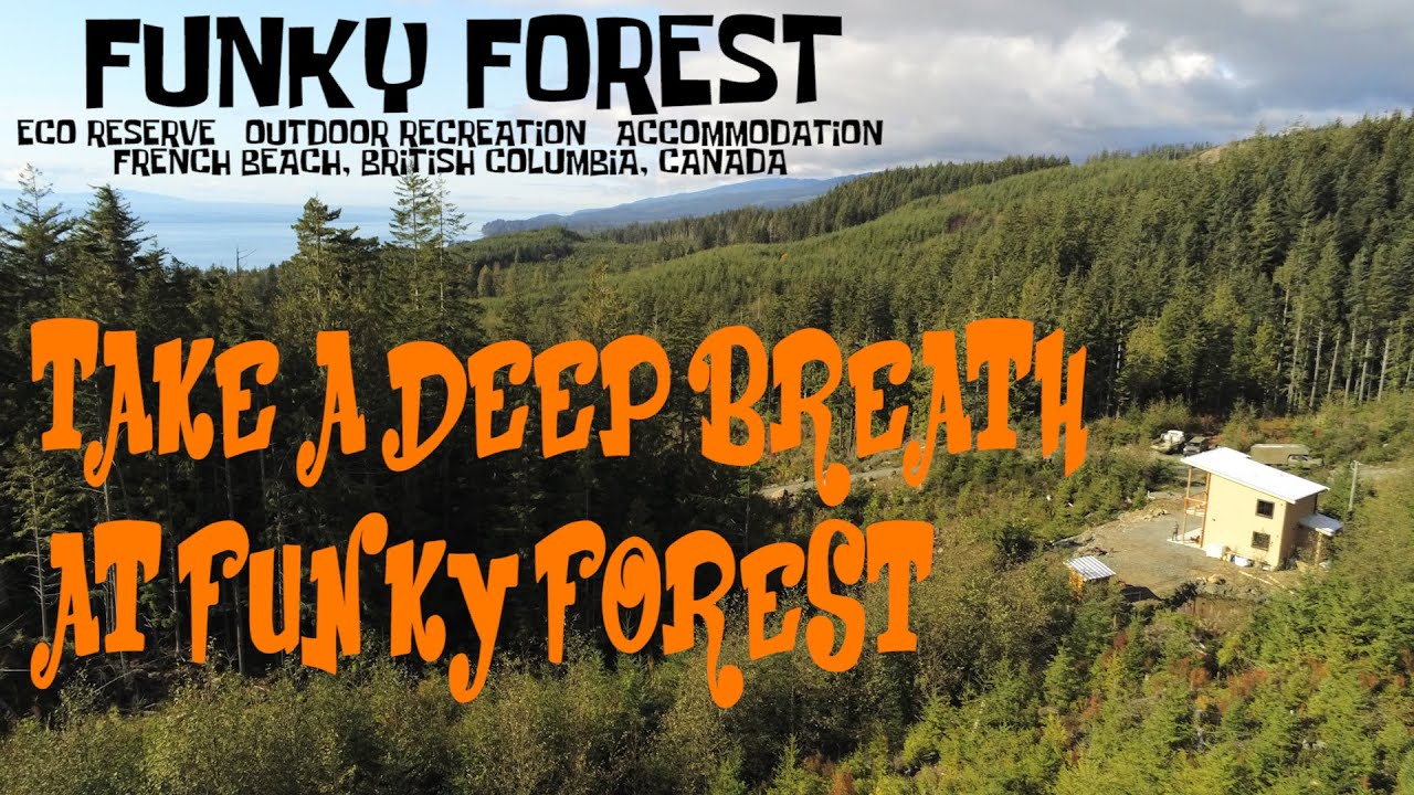 Music Video "Take a Deep Breath at Funky Forest" by The Funky Foresters - YouTube