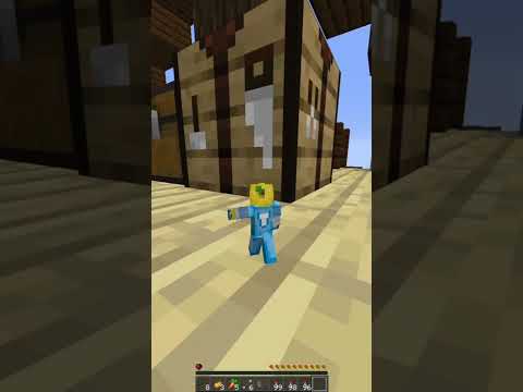 minecraft hide and seek