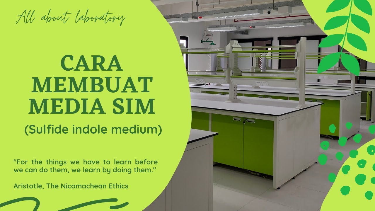 Cara Membuat Media SIM (Sulfide Indole Motility) - YouTube