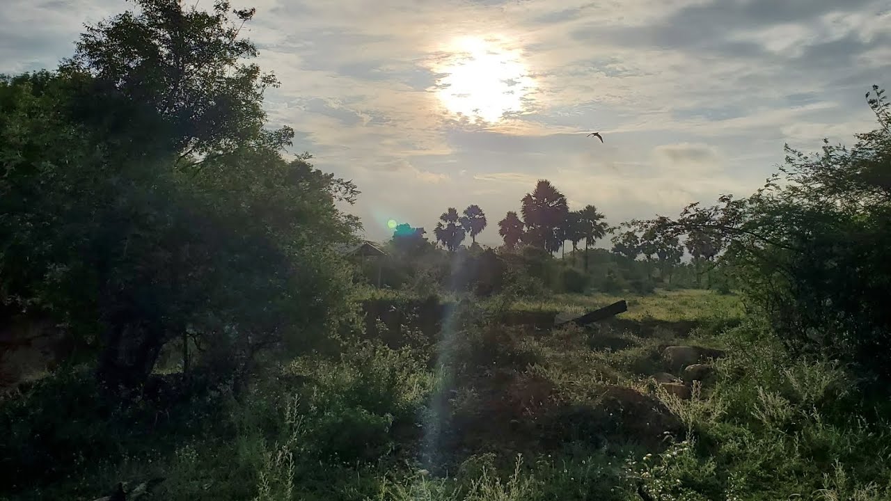 Beautiful Village Nature, Live with Nature - YouTube