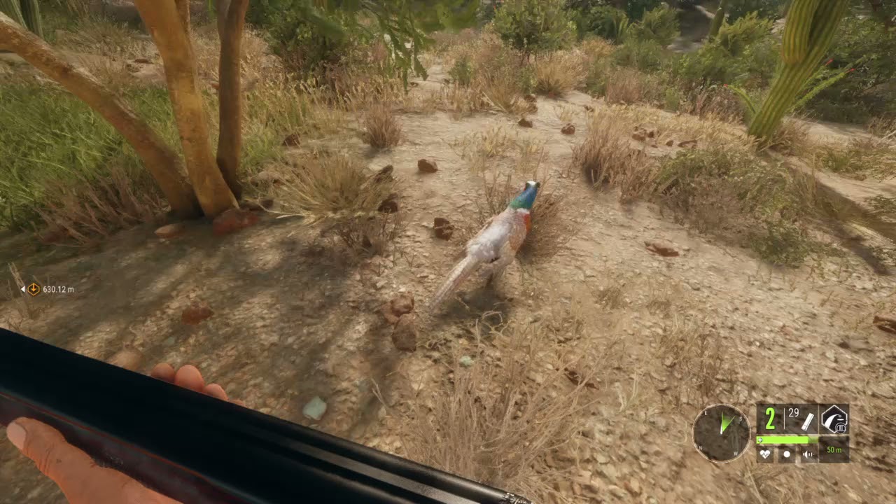 The last Dodo bird is hunted to Extinction colorized 1681 The hunter ...