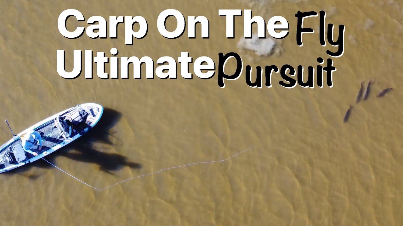 Carp Fly Fishing - The Ultimate Pursuit - Carp On The Fly - YouTube