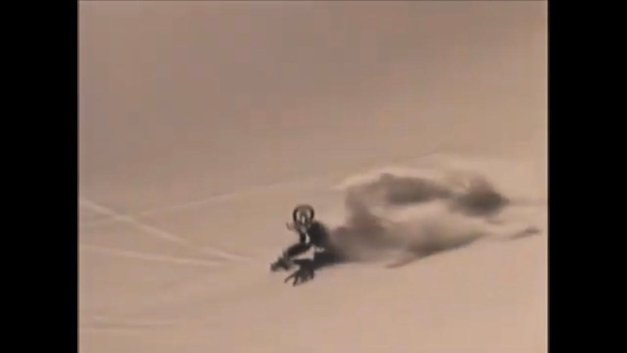 Motorcycle Stunt Accident Of Seth Enslow - YouTube