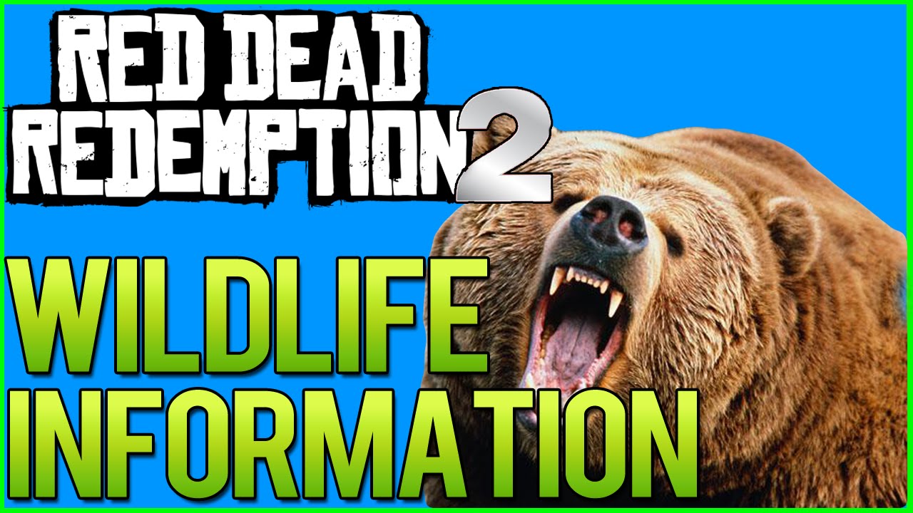 Red Dead Redemption 2 WildLife Improvements!? (New WildLife) - YouTube