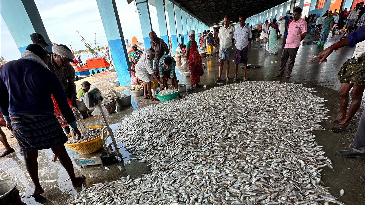 Neendakara fishing Harbour - YouTube