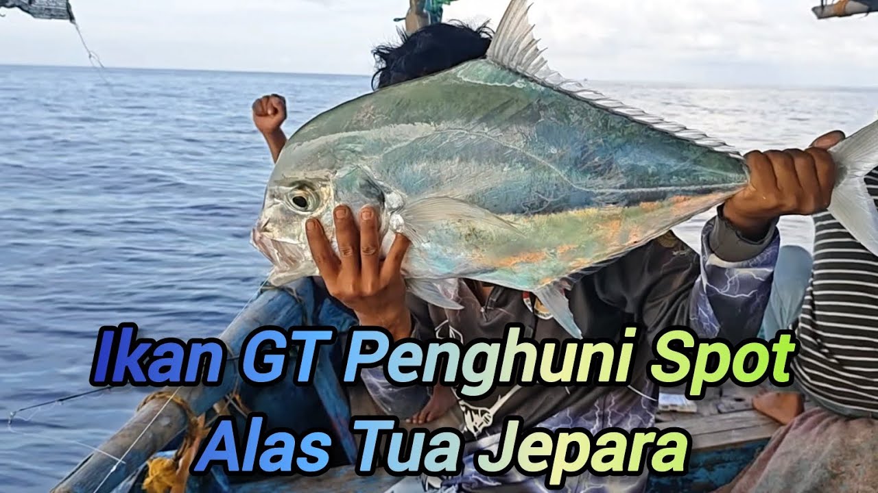 Sensasi Tarikan Ikan Diamond Trevally di kedalaman air laut kurleb 40m‼ ...