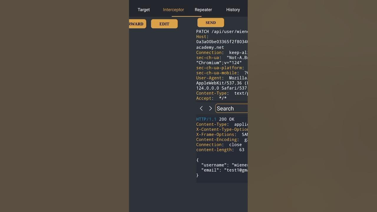 Exploiting an API endpoint using documentation - YouTube