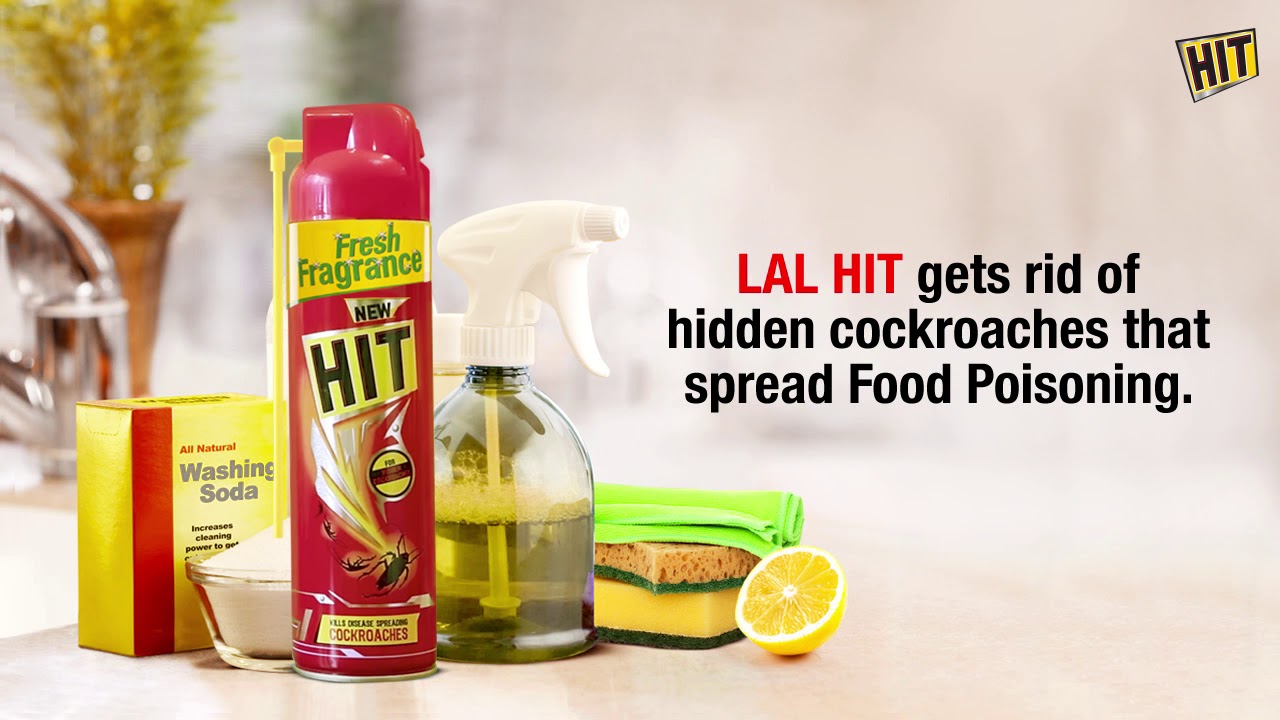 Apply LAL HIT during Diwali kitchen cleaning. - YouTube