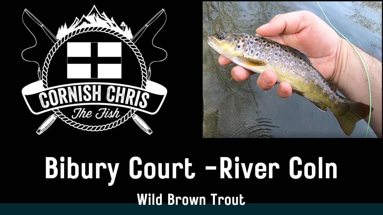 Trout Fly Fishing - River Coln - Bibury Court - April 2022 - YouTube