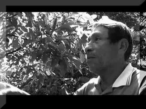 Alto Guaymí 1- Paraiso Escondido- Costa Rica Indígena Tours - YouTube