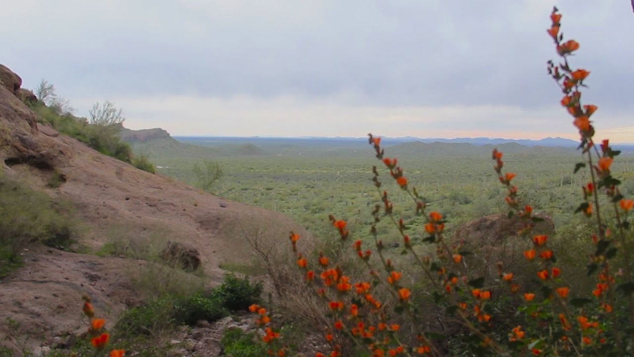 Dacite Cliffs Hike via Carney Springs Trailhead (Superstition Mountains ...