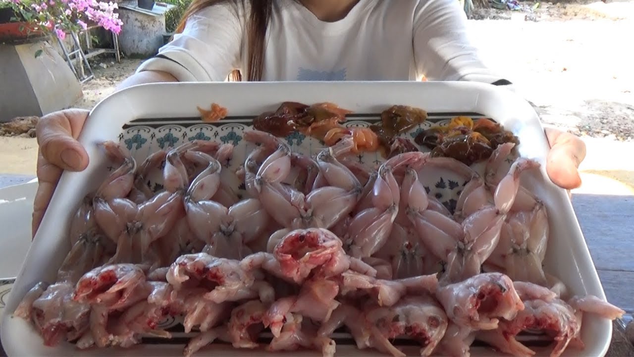 Cooking Frog Curry - Cassava Recipe || Yummy Cooking With Me - YouTube