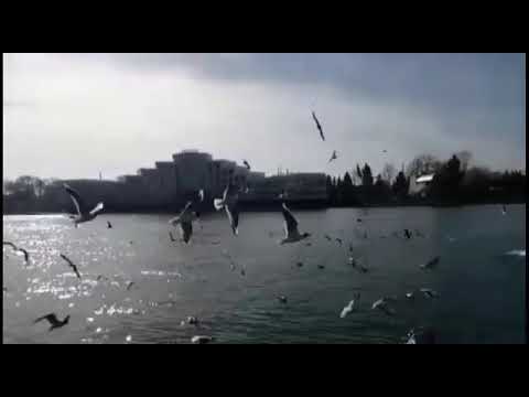 Mingecevir Kur qiragi