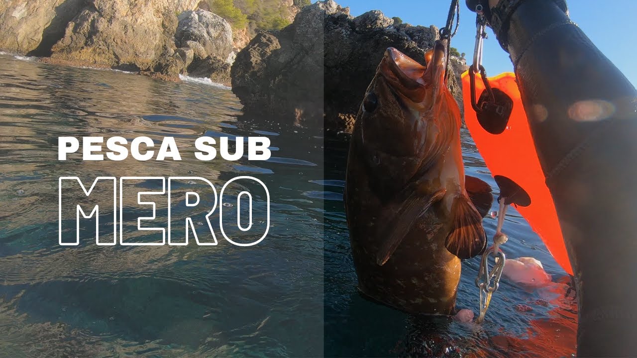 La pesca del MERO | PESCA SUBMARINA - YouTube