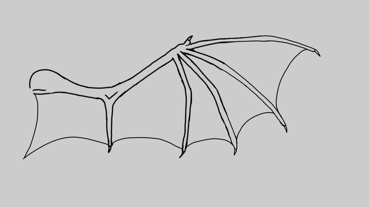 HOW TO DRAW A DRAGON WING | BASIC - YouTube